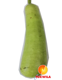 Fresh Loki, kaddu, Lauki, Bottle Gourd, 1pcs, ca 400-700g (1pcs ...