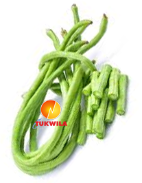 Fresh Borboti, Green long Beans, Bengali Sim, Seem, Guar Gwar Fali ...