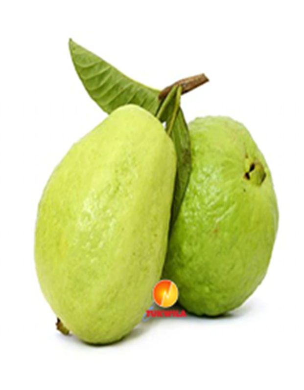 Ripe small Fresh Guava, Ägypten Guava, Desi Amrud, Peyara, (200g ~ 350g ...